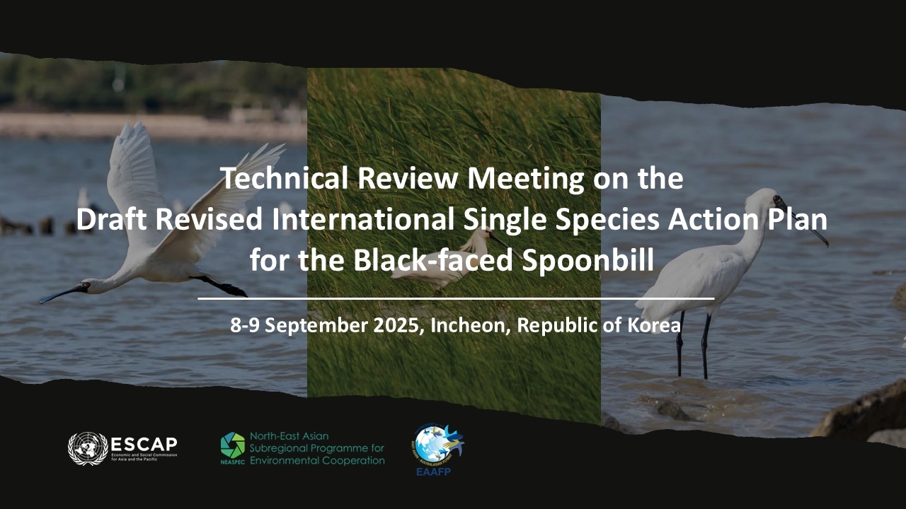 Technical Review Meeting on the Draft Revised International Single ...