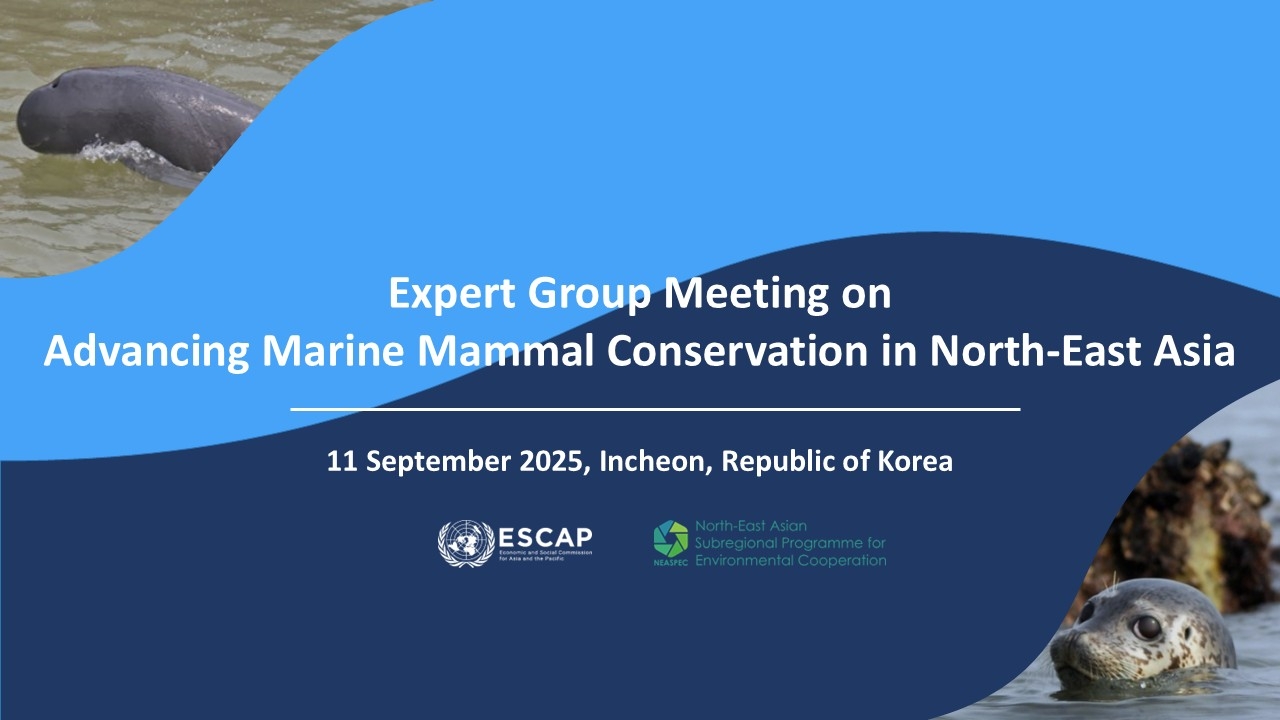 Expert Group Meeting on Advancing Marine Mammal Conservation in North ...